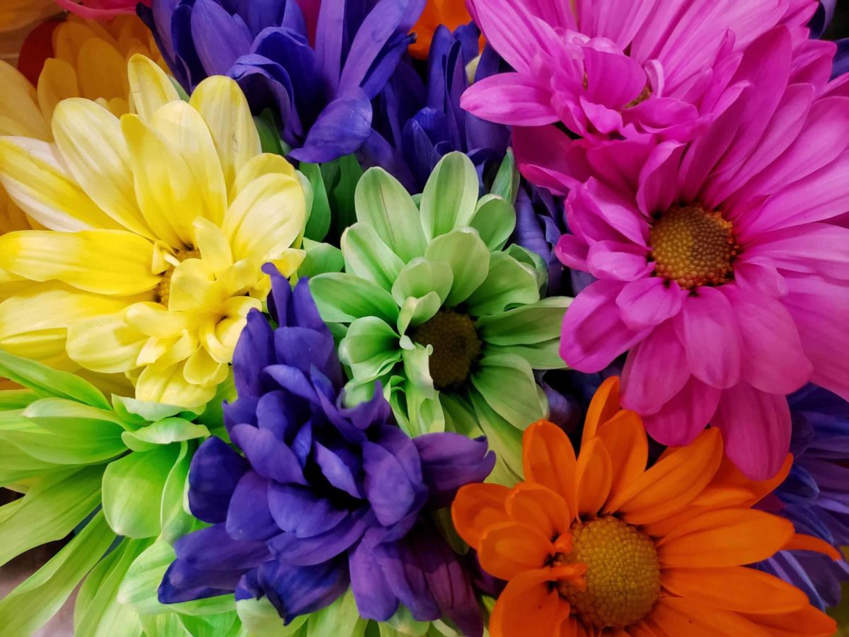 See Why Mums Are The Perfect Fall Flower - Mary Murrays Flowers